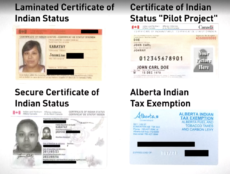 Membership Criteria - Indigenous Arts Collective